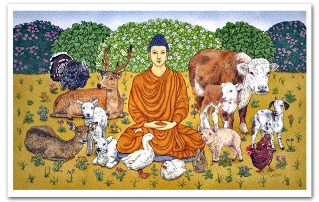 Kusala Bhikshu - Home Page